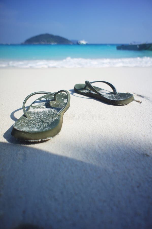 Sandal on the beach stock image. Image of beach, sandal - 48551703