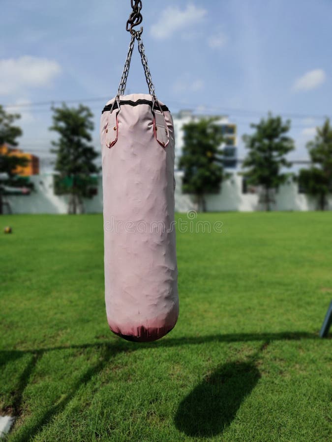 Sandbag Hanging Lawn Boxing Stock Photo - Image of sandbag, wing: 185599840