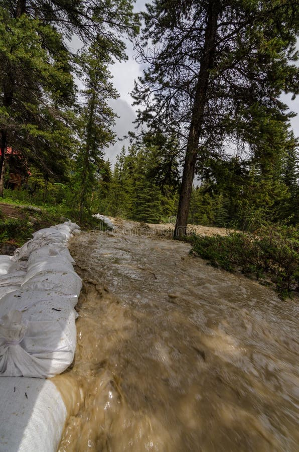 Sandbags Protection from Raging River Stock Photo - Image of national ...