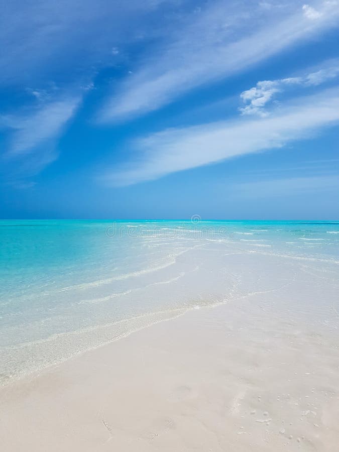 Sandbar in the Bahamas stock photo. Image of fiji, seascape - 69207588