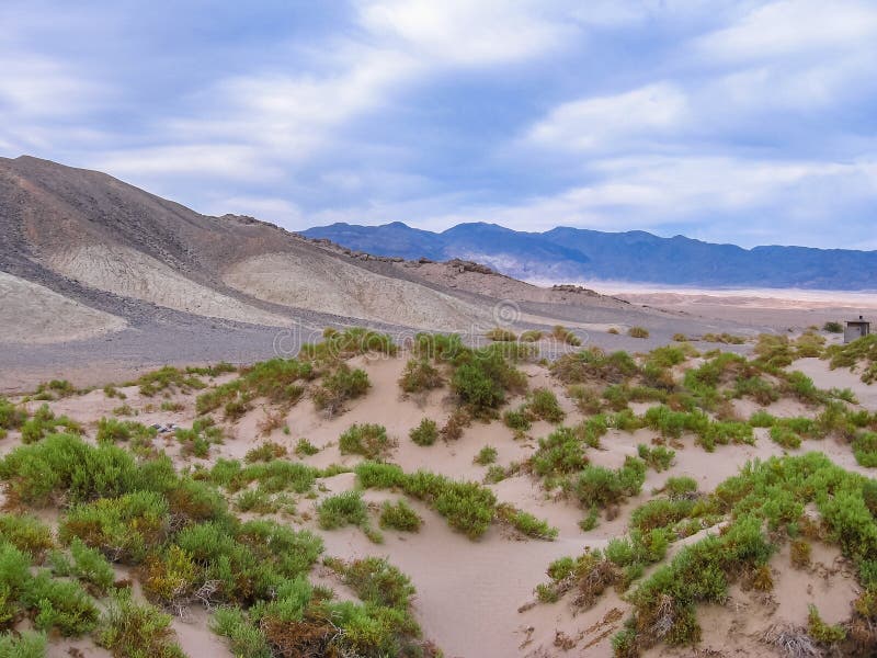 Sanddyner I Den Death Valley Nationalparken Fotografering för ...