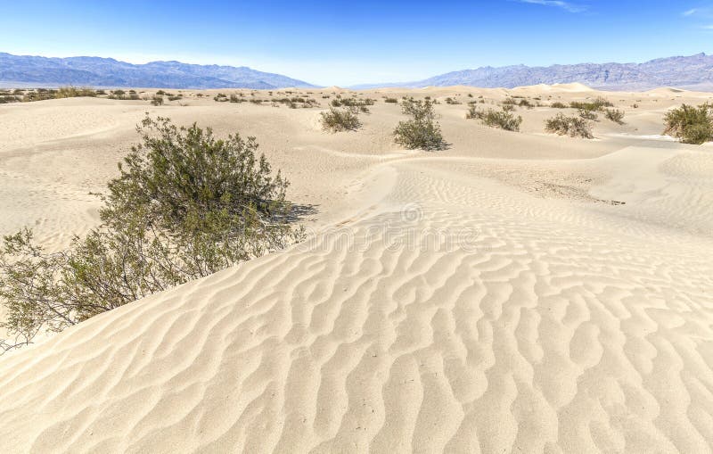 Sanddyner I Den Death Valley Nationalparken Arkivfoto - Bild av ...