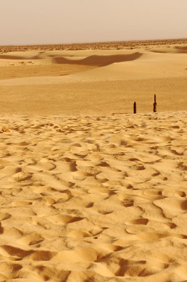 Sanddyner I Den Sahara öknen Arkivfoto - Bild av brigham, afrikansk ...