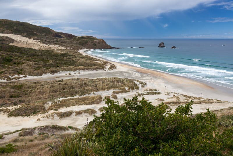 Sandfly Bay stock photo. Image of coast, beautiful, sandfly - 72995450