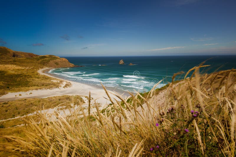 254 Sandfly Beach Stock Photos - Free & Royalty-Free Stock Photos from ...