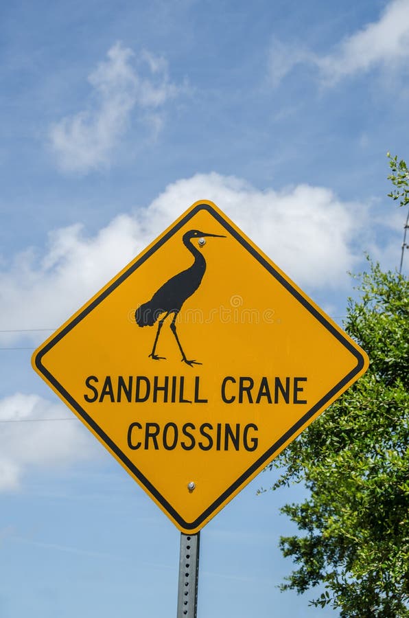 Sandhill Crane Crossing Sign Foto de archivo - Imagen de mensaje, aviso ...