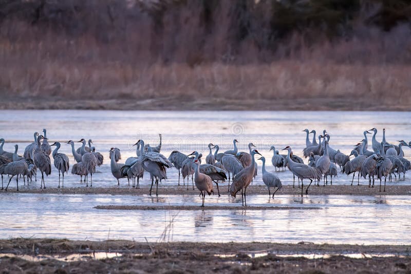 Daybreak Kearney Stock Photos - Free & Royalty-Free Stock Photos from ...