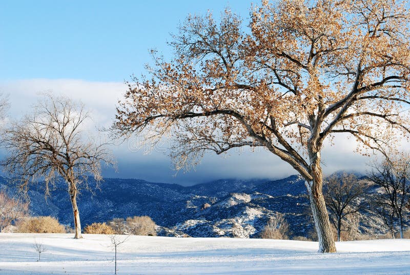 Sandia Mountains with Snow stock image. Image of wonderland - 12180539