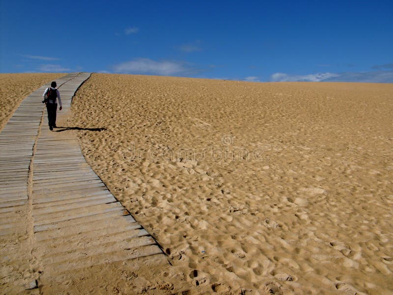 Man in the desert stock image. Image of sahara, monochrome - 13154663