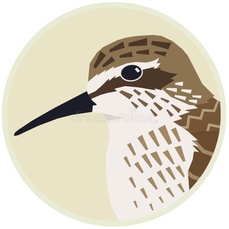 Sandpiper Vector Illustration of a Bird in a Round Frame Stock Vector ...