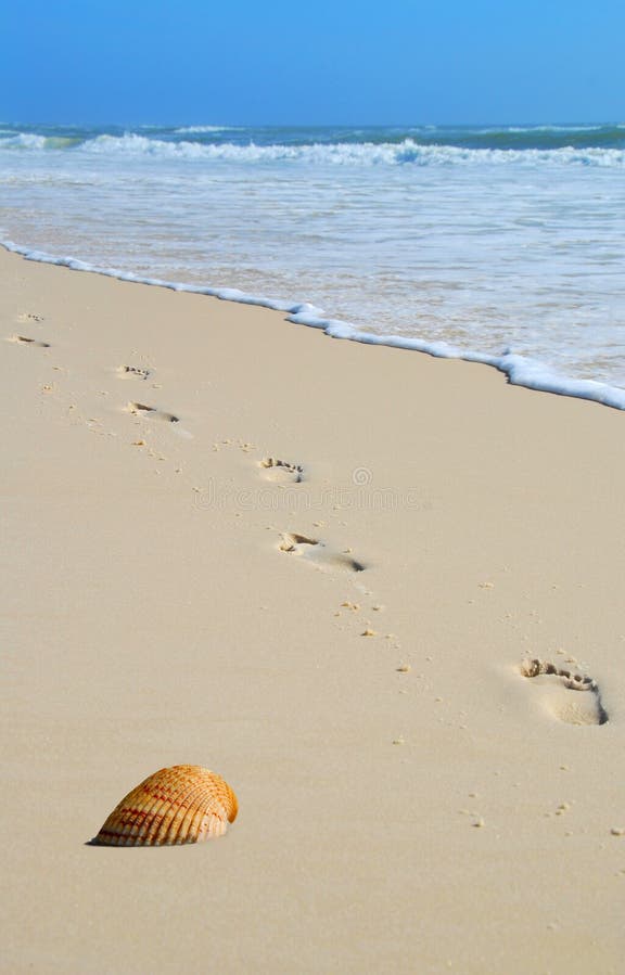 Sandprints and Shell by Shore Stock Photo - Image of wave, caribbean ...