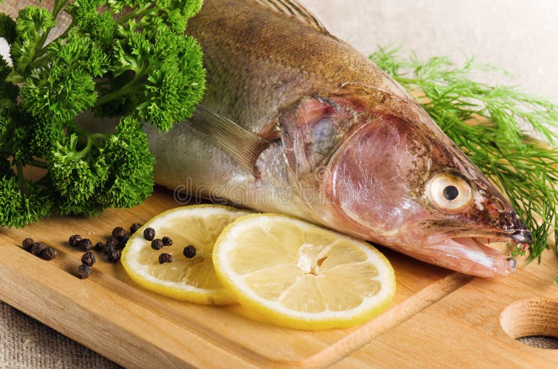 Sandre Sur Un Panneau De Cuisine Image stock - Image du tête, métier ...