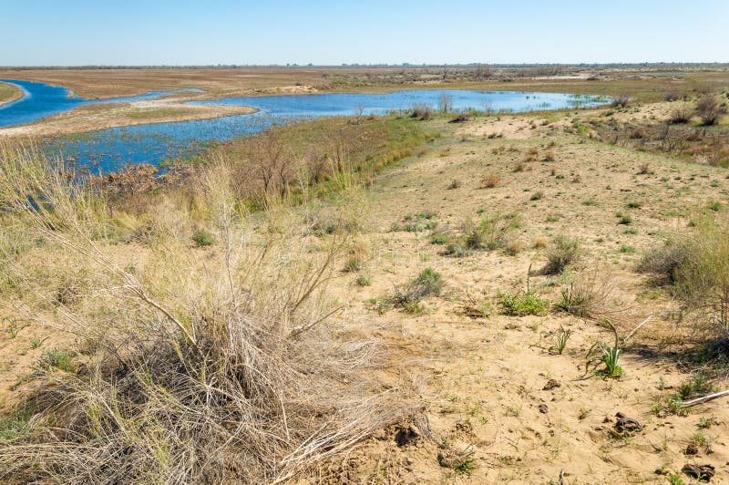 Sands Desert Spring stock photo. Image of desert, environment - 122734922