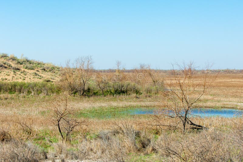 Sands Desert Spring stock photo. Image of golden, extreme - 122734970