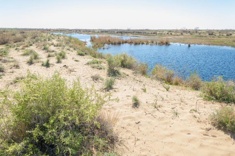 Sands Desert Spring stock photo. Image of duna, dune - 122735038