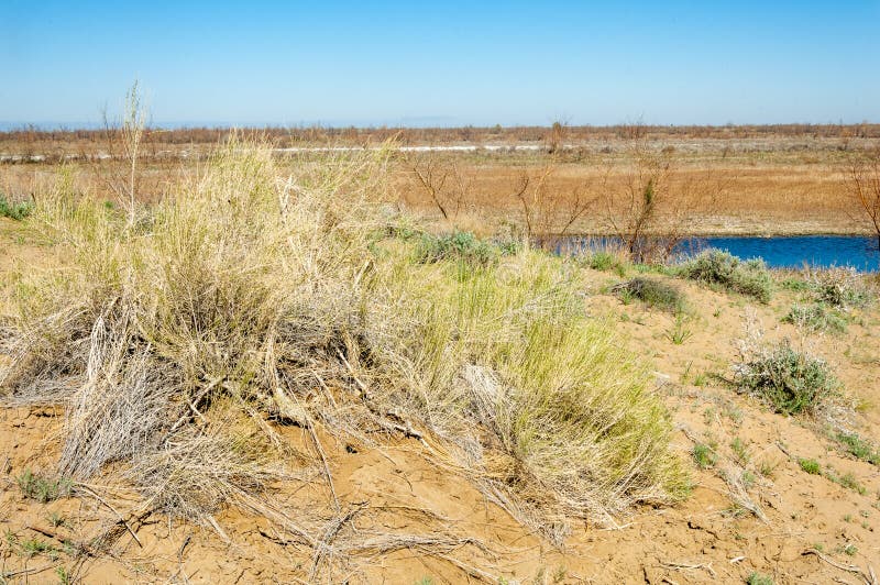 Sands Desert Spring stock photo. Image of asia, land - 122734984