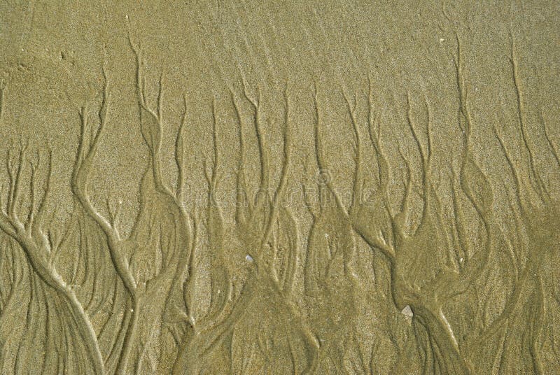 Natural Patterns in Sand stock image. Image of sand, like - 70793123