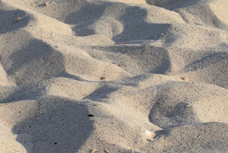 Sands of Time: Nature S Patterns with Shells and Pebbles Stock Photo ...