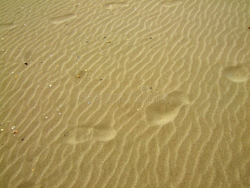 Wind Marks in the Sand on a Beach by the Sea Stock Photo - Image of ...