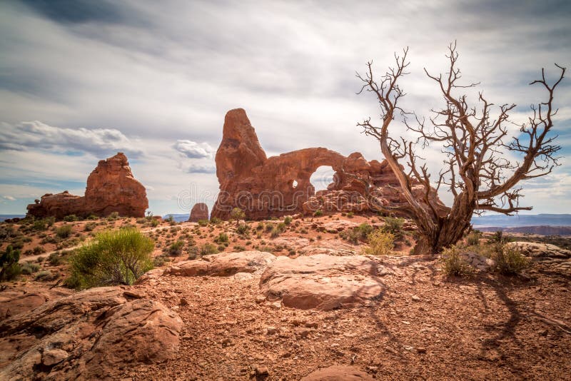 Sandstone Arches and Natural Structures Stock Image - Image of colorado ...