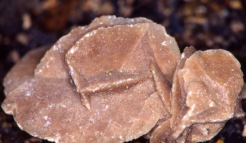 Sandstone Minerals Under the Microscope Stock Photo - Image of natural ...