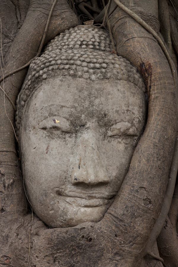 Sandstone Buddha s Face stock image. Image of human, famous - 22853481