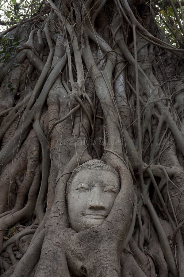 Sandstone Buddha s Face stock image. Image of root, synagogue - 22853857