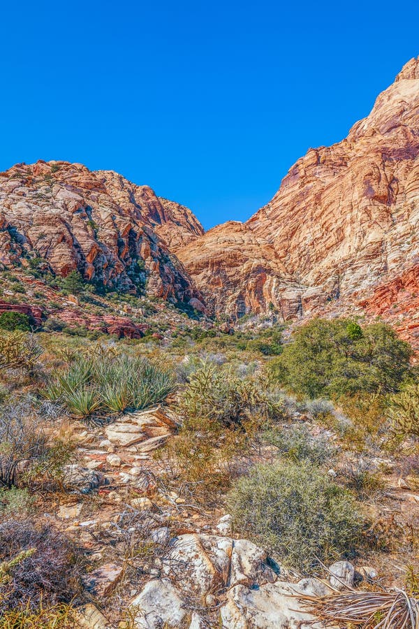 Sandstone Canyon Loop Trail in Spring Mountain Ranch State Park.Nevada ...
