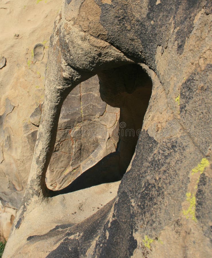 Wind Wolves Trees stock photo. Image of canyon, white - 49070736