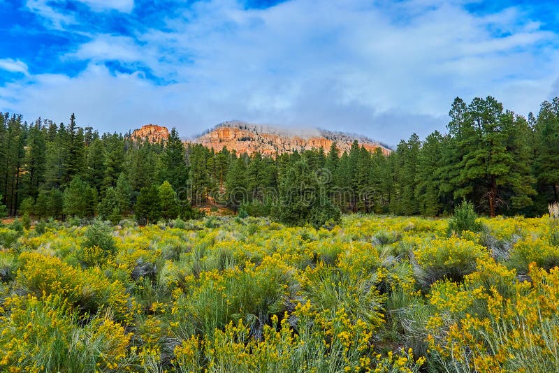 Sandstone Cliffs with Clouds Near Pine Lake Campground, UT Stock Image ...