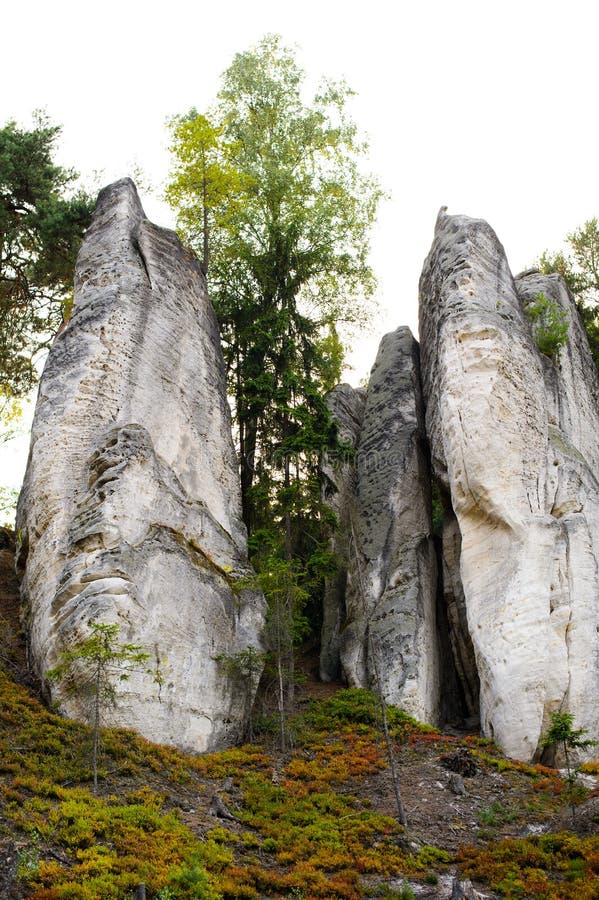 Sandstone Cliffs - Prachov Rocks, Czech Republic Stock Photo - Image of ...
