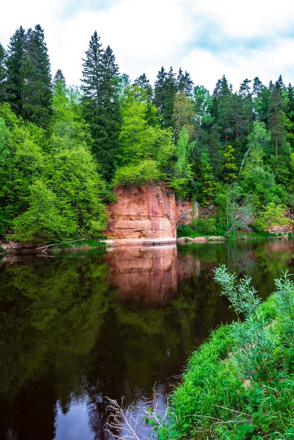 Sandstone Cliffs on the Shore of Forest River Stock Photo - Image of ...
