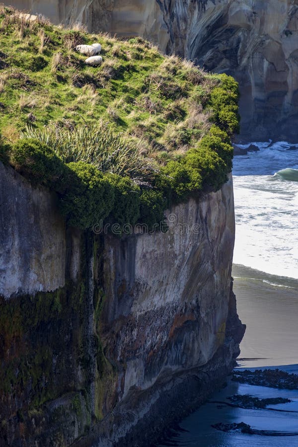 Sandstone Cliffs at Tunnel Beach in New Zealand Stock Image - Image of ...