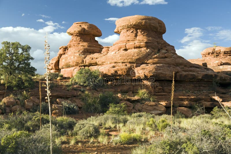 Sandstone Hoodoos in Grand Canyon Stock Photo - Image of orange, stone ...