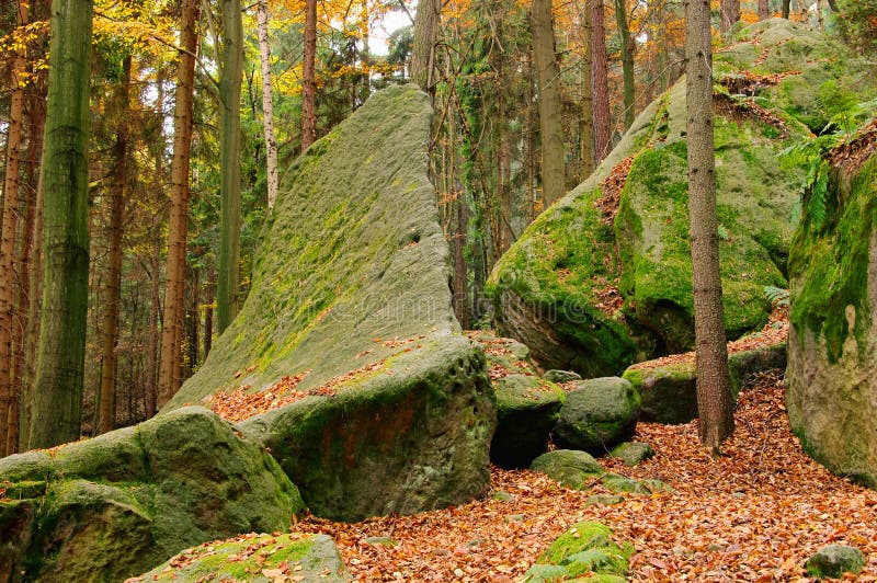Sandstone rock in forest stock image. Image of tree, hill - 17163437