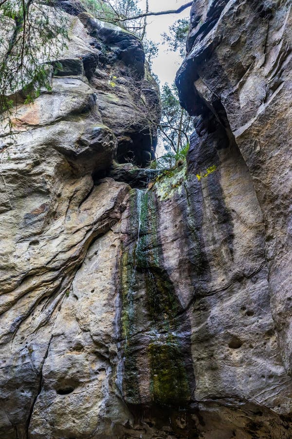 Sandstone Rocks in a Forest Stock Photo - Image of terrain, landscape ...