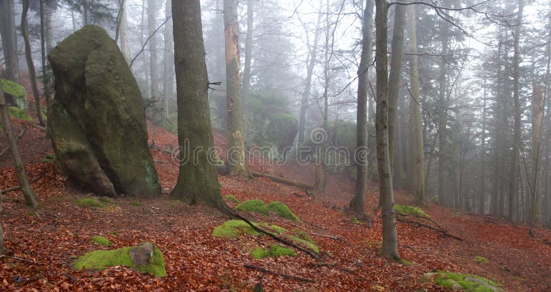 Sandstone Rocks in Misty Forest Stock Photo - Image of sandstone ...