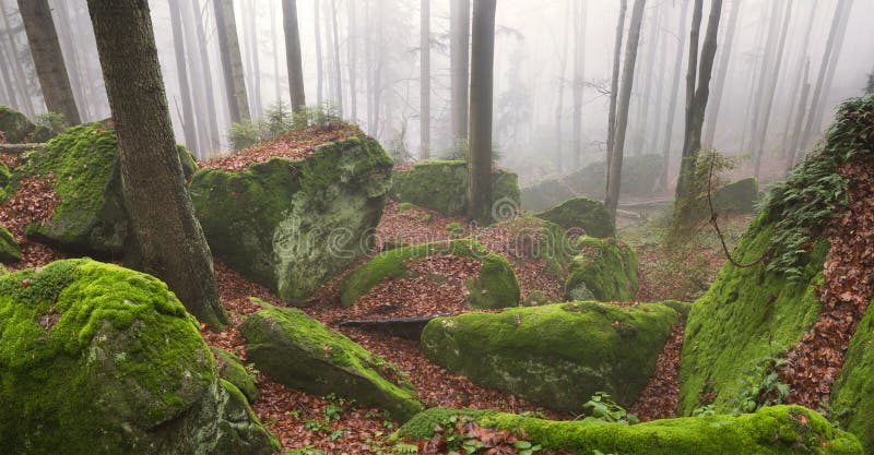 Sandstone Rocks in Misty Forest Stock Photo - Image of rocks, trunks ...