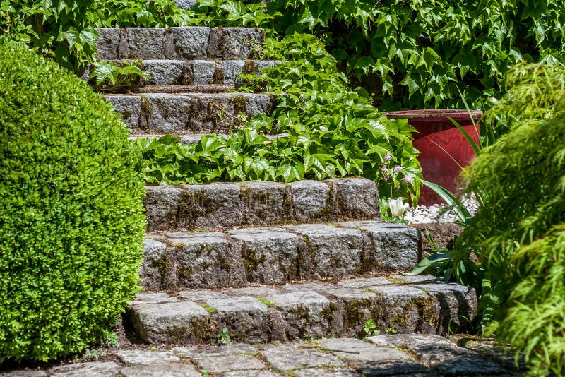 Steps Stairs Path Up In Forest Climb Wooden Old Steps Stock Image ... Steps Stairs Path Up In Forest Climb Wooden Old Steps Stock Image ...