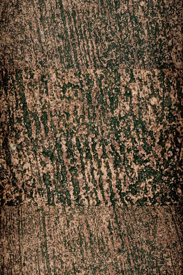 159 Rock Gross Texture Stock Photos - Free & Royalty-Free Stock Photos ...