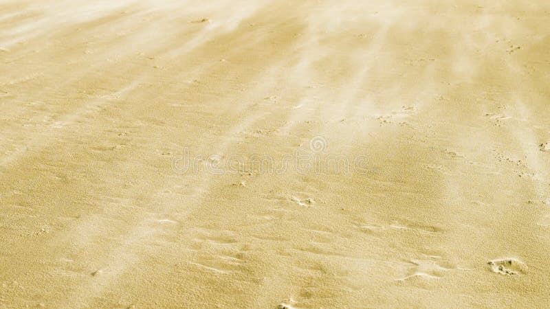 Sandstorm. Sand on the Beach is Yellow-colored Background Stock Photo ...