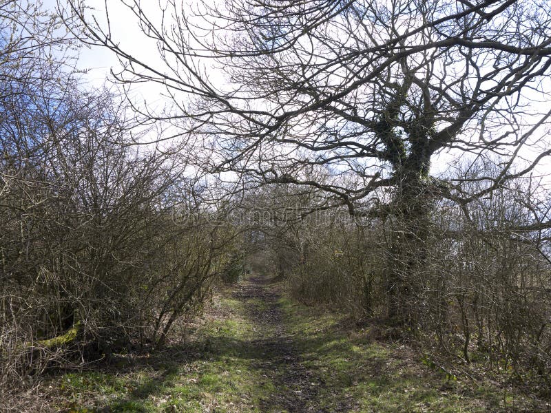 Sandwell RSPB reserve stock photo. Image of lake, nature - 36666006