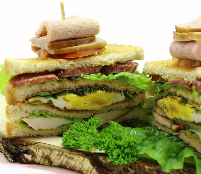 Sandwich stock photo. Image of hamburger, plate, isolated - 25857238