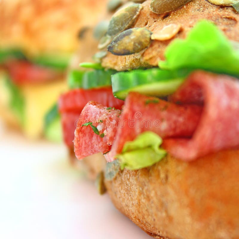 Sandwich stock image. Image of fresh, chicken, grain, dinner - 9602649