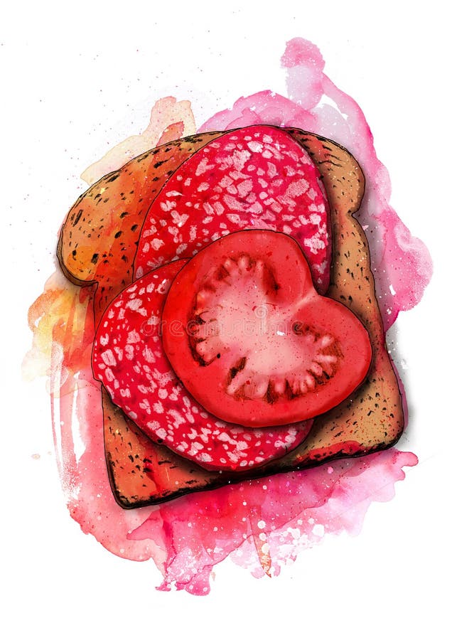 Sandwich with Bread, Salami and a Slice of Tomato, Snack, Sketch Stock ...