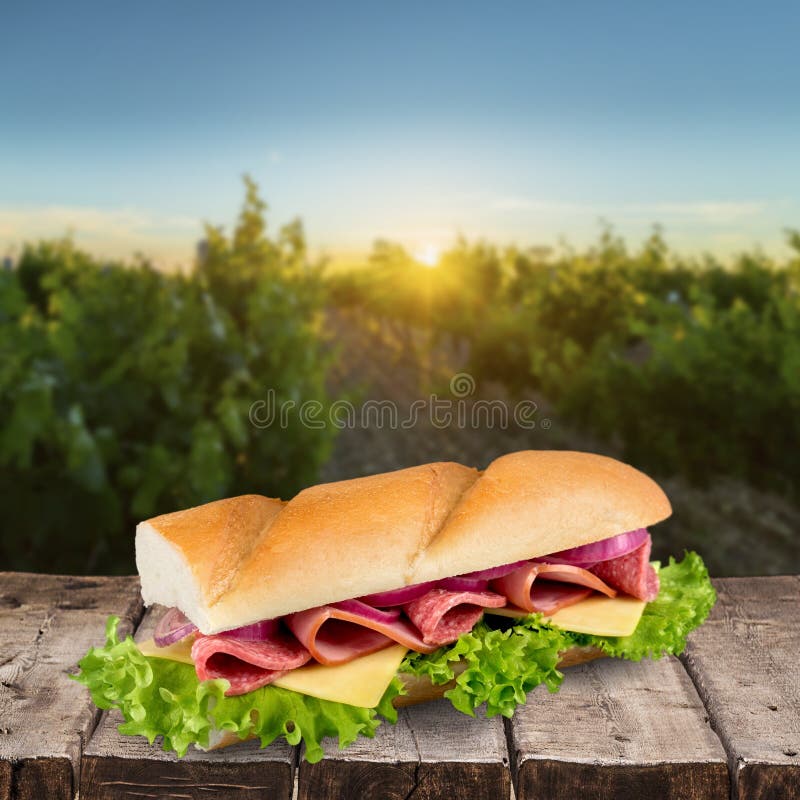 Sandwich stock photo. Image of fast, long, isolated - 117737624