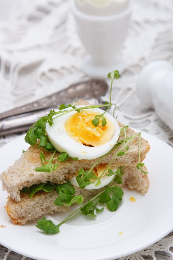 Sandwich with Egg and Cress Stock Photo - Image of germinated, salad ...