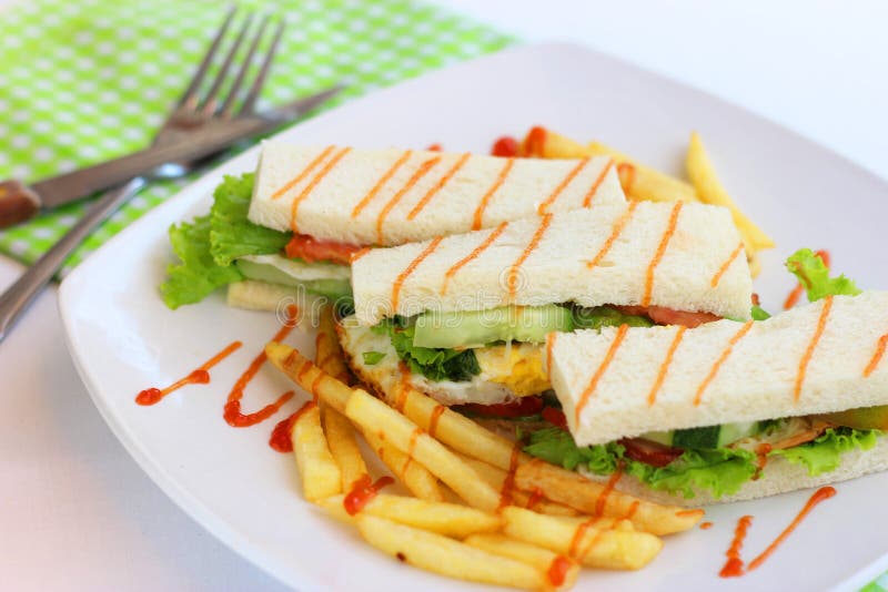 Sandwich french fries stock image. Image of cuisine - 262632825