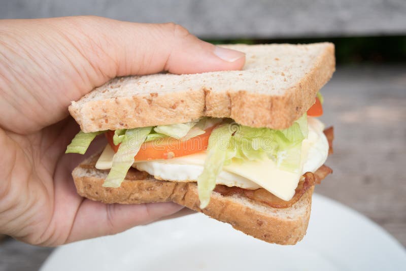 Sandwich with hand stock image. Image of tomato, food - 59693571