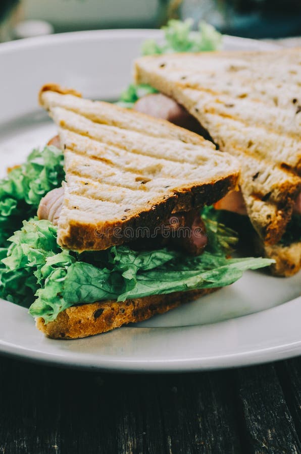 Sandwich on Plate stock photo. Image of pink, gourmet - 104661052